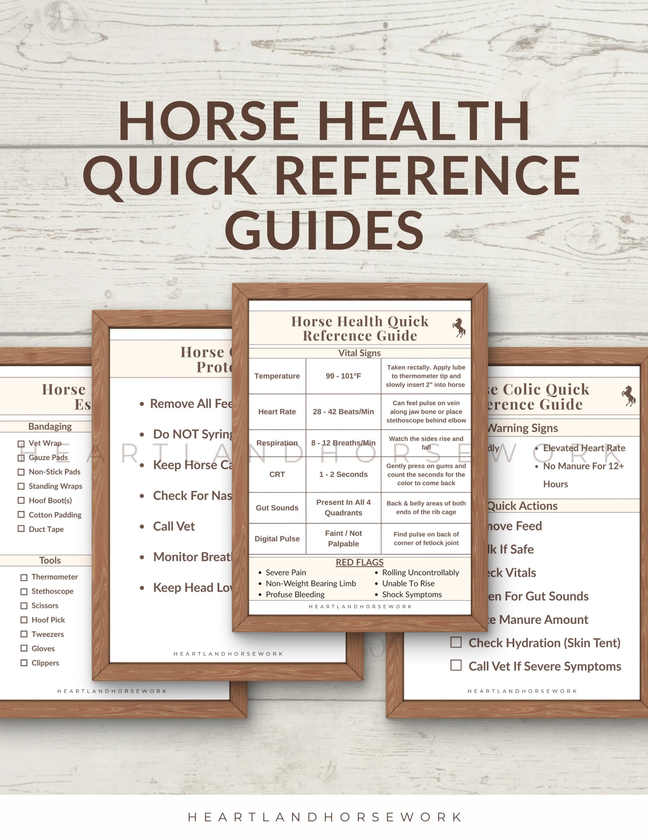 Equine First Aid Quick Reference Guides | Horse Emergency Charts (Prin ...